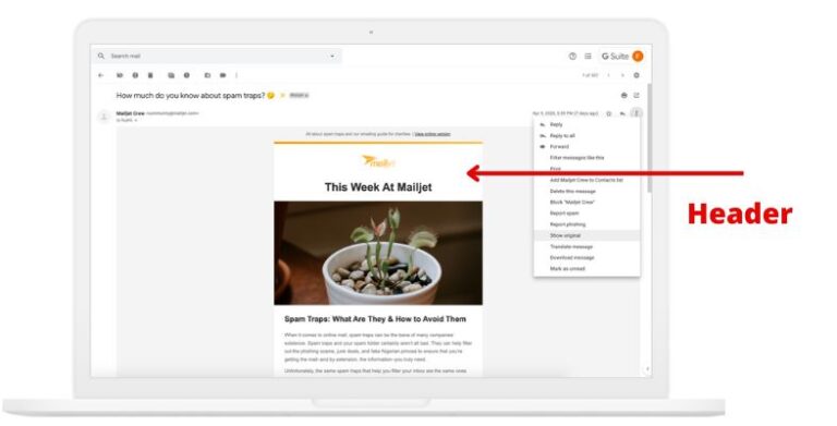 Consejos prácticos para crear header y footer efectivos en email | MDirector